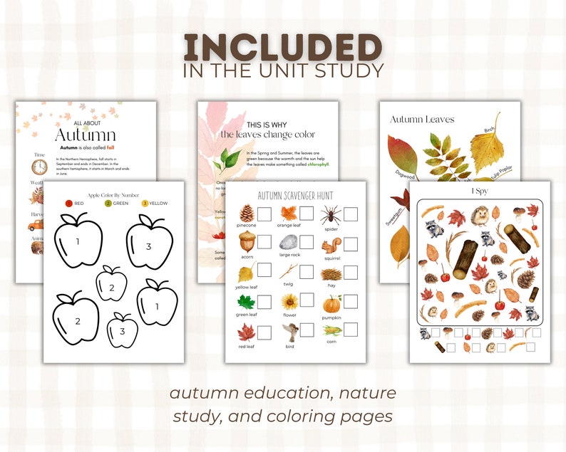 Autumn Preschool Unit Study | Fall Pre-k Printable Curriculum, Autumn ...