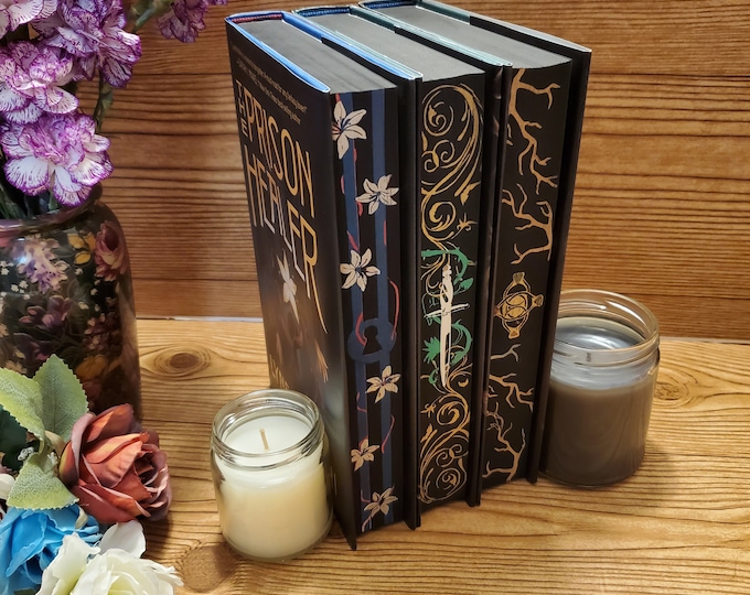 Prison Healer Trilogy With Stenciled Edges - Etsy