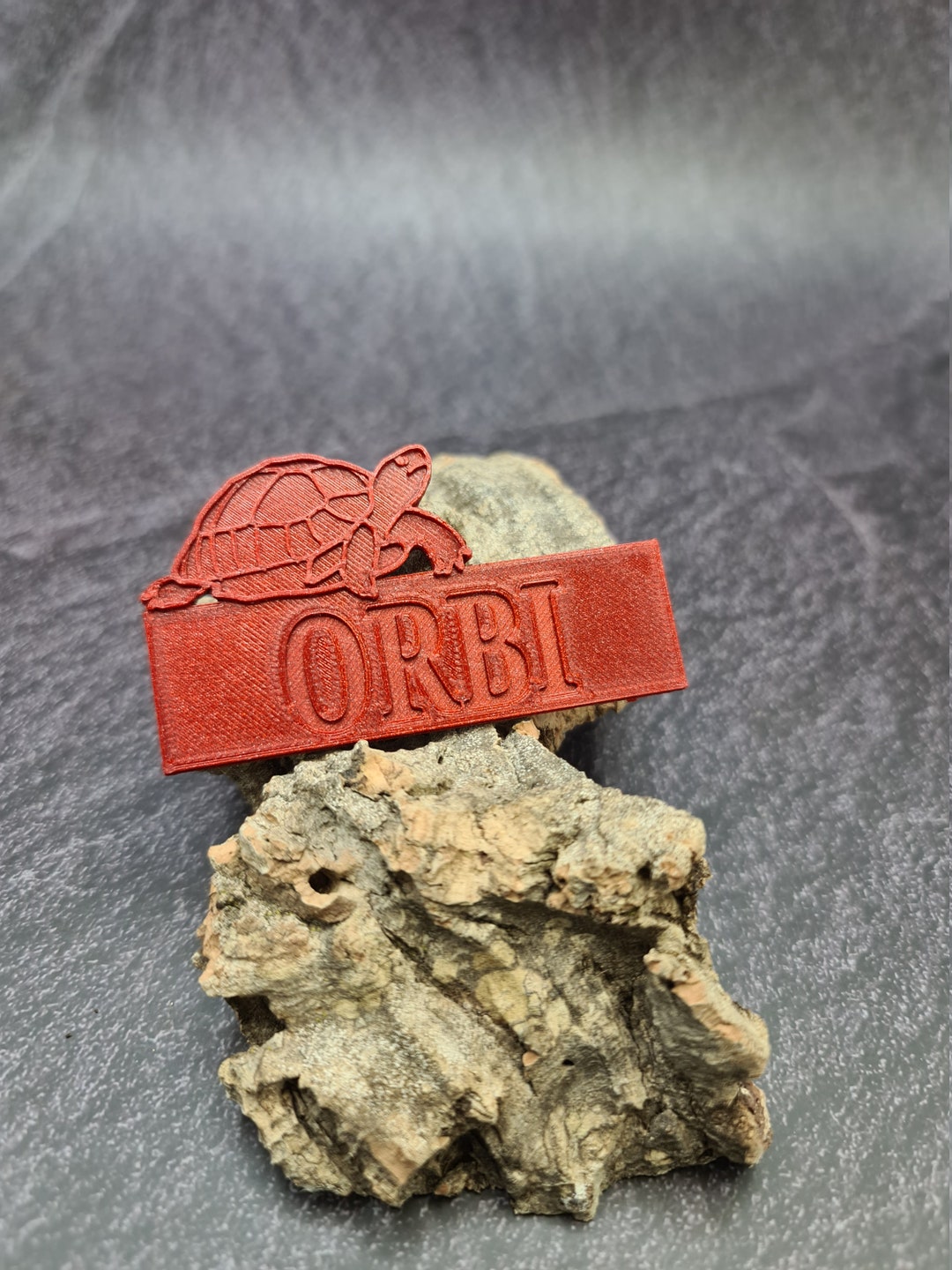 Tortoise Name Plaque, Custom Reptile Plaque, - Etsy