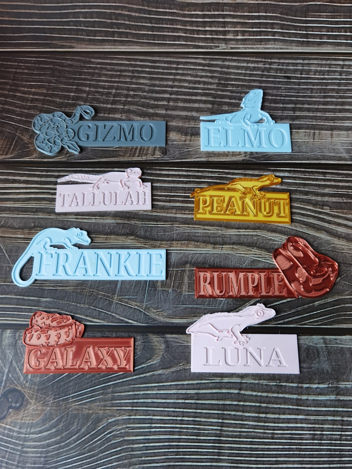 Ball Python Custom Name Plaque - Etsy