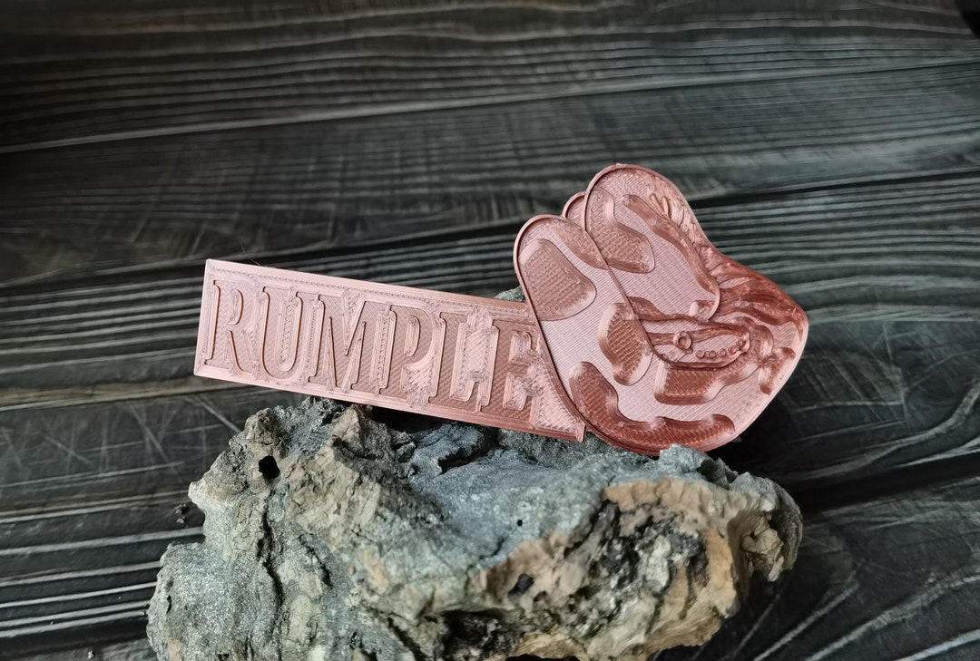 Ball Python Custom Name Plaque - Etsy