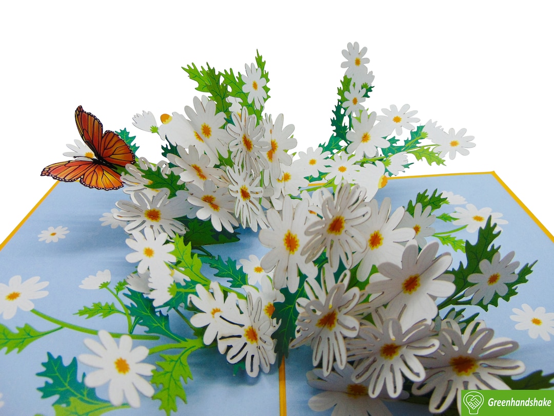 Daisies Garden, Pop up Card, 3D Popup Greeting Cards - Unique Dedicated ...