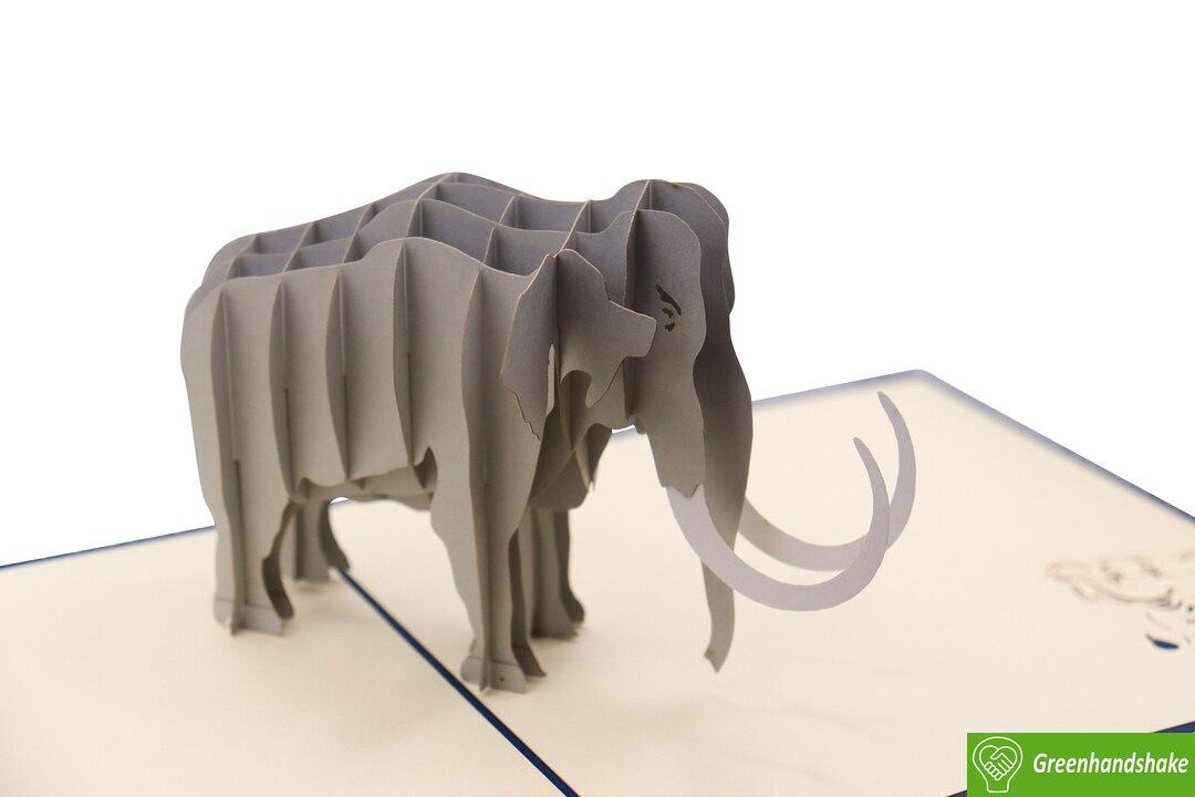 Elephant, Pop up Card, 3D Popup Greeting Cards - Unique Dedicated ...