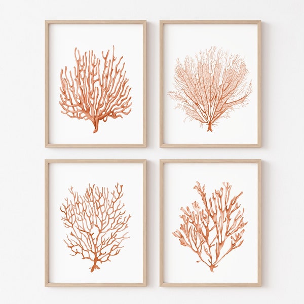 Coral Wall Art - Etsy