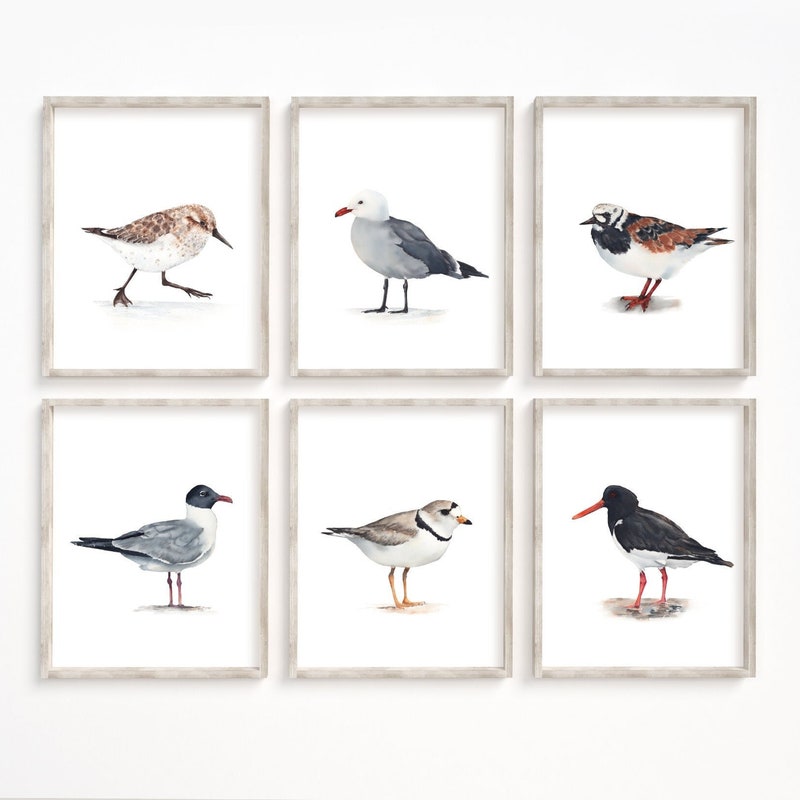 Bird Print - Etsy