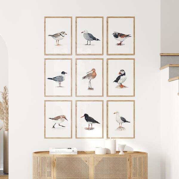 Shore Birds - Etsy