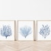 Blue Coral Prints Set of 3. Watercolor Seafans Printable Wall Art ...