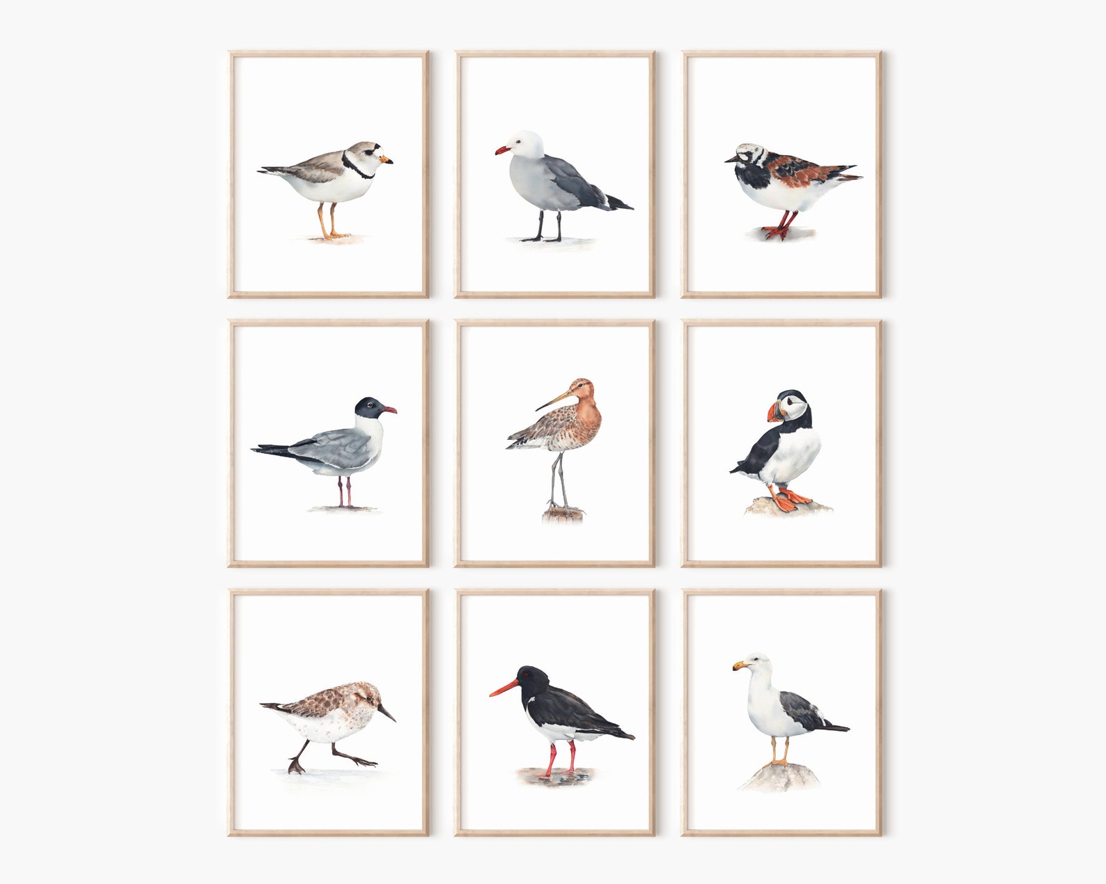 Watercolor Birds Prints Set of 9. Shore Birds Printable Wall Art. Beach ...