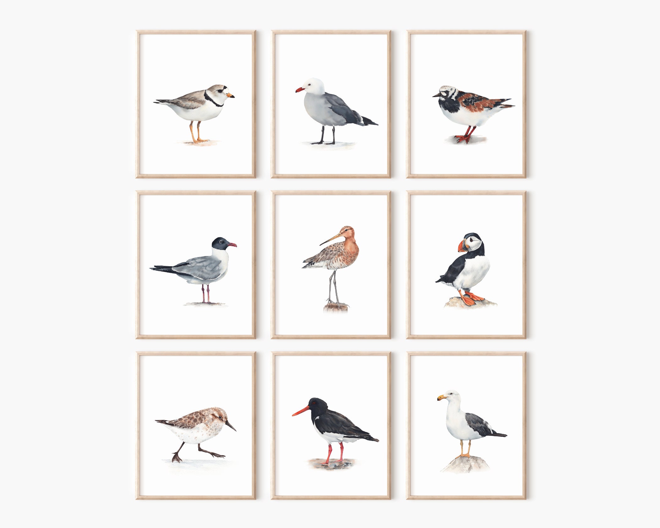 Watercolor Birds Prints Set of 9. Shore Birds Printable Wall Art. Beach ...