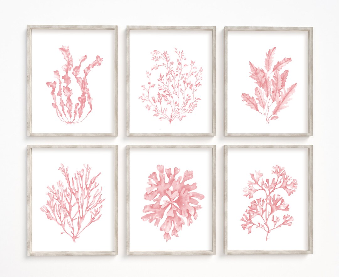 Pink Coastal Print Set 6. Seaweeds Corals Digital Prints. Blush Pink ...