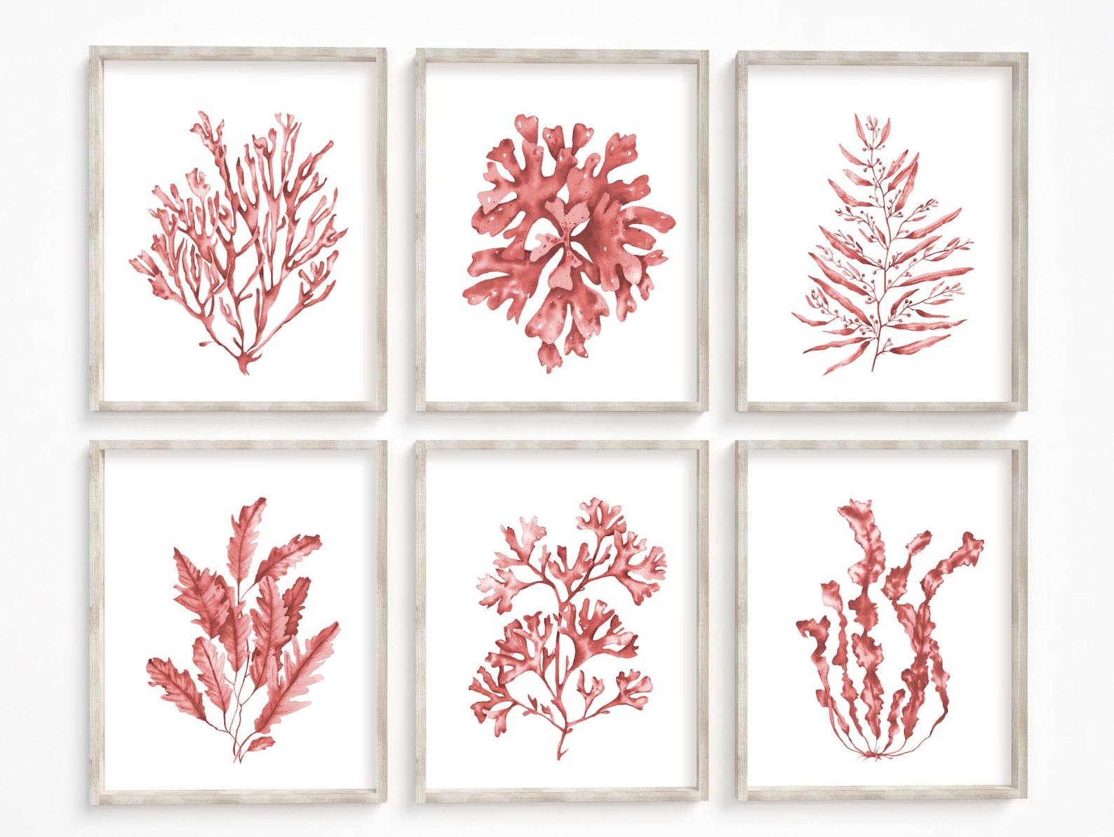 Red Coral Prints Set of 6. Coastal Wall Art. Beach House Art | Etsy
