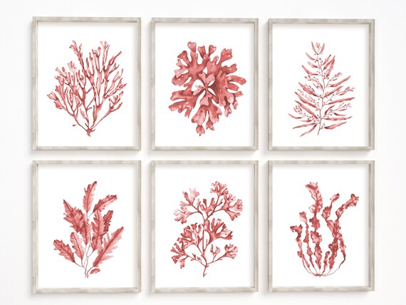 Red Coral Print