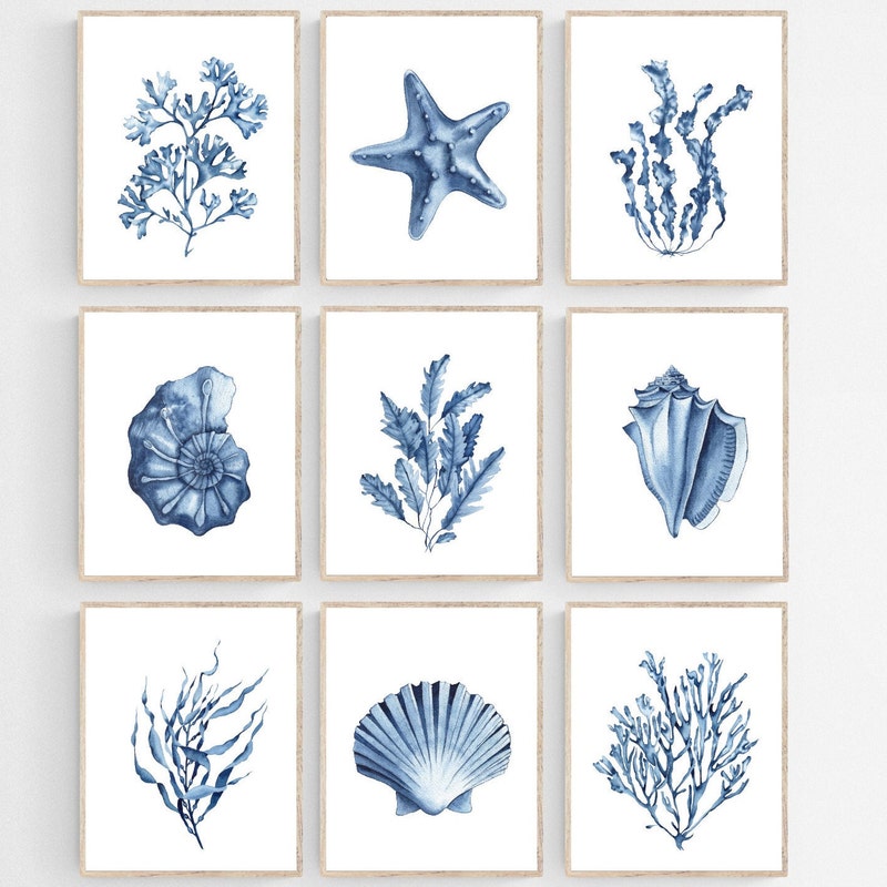 Navy Seashell Art - Etsy