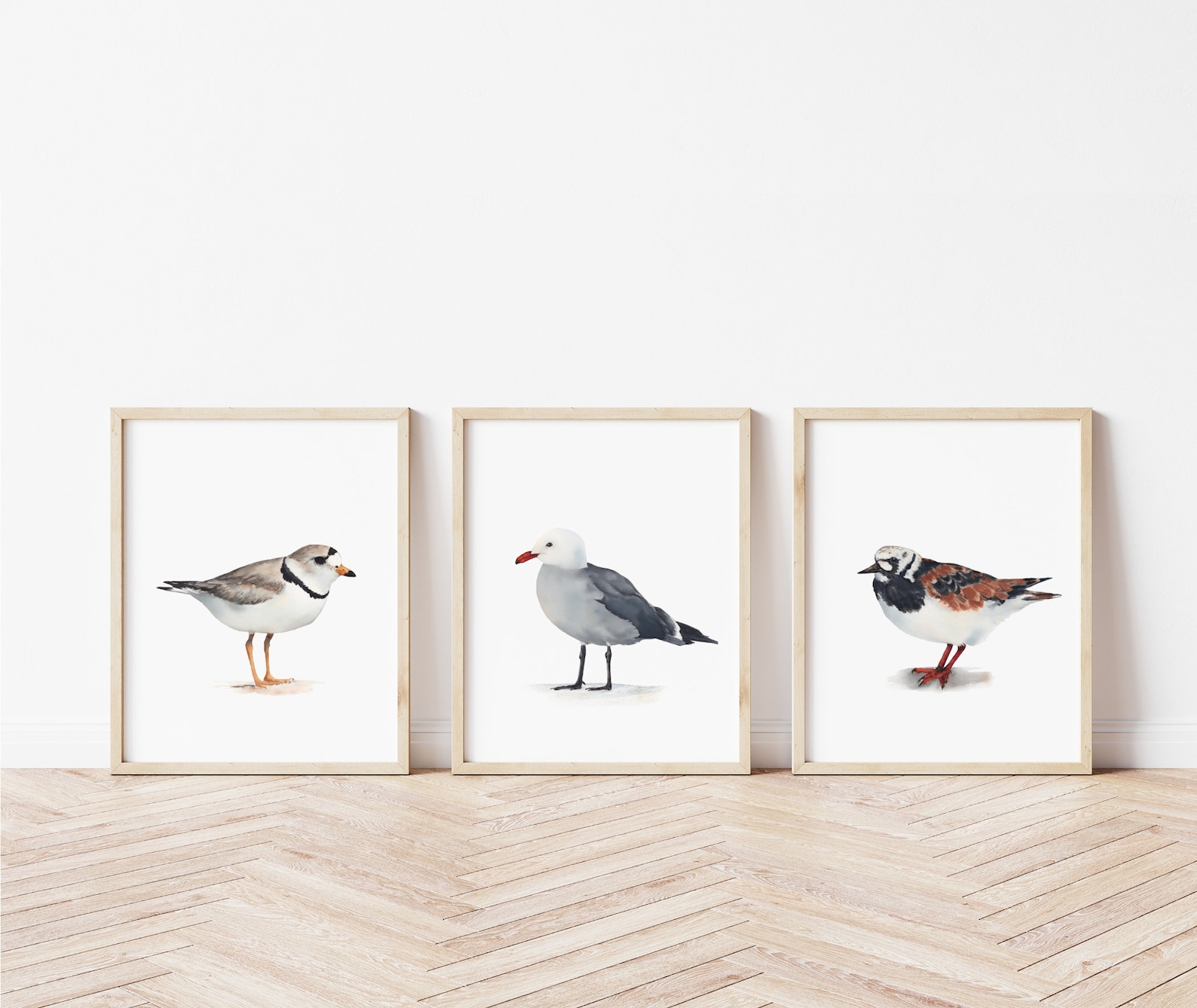 Watercolor Birds Prints Set of 9. Shore Birds Printable Wall Art. Beach ...