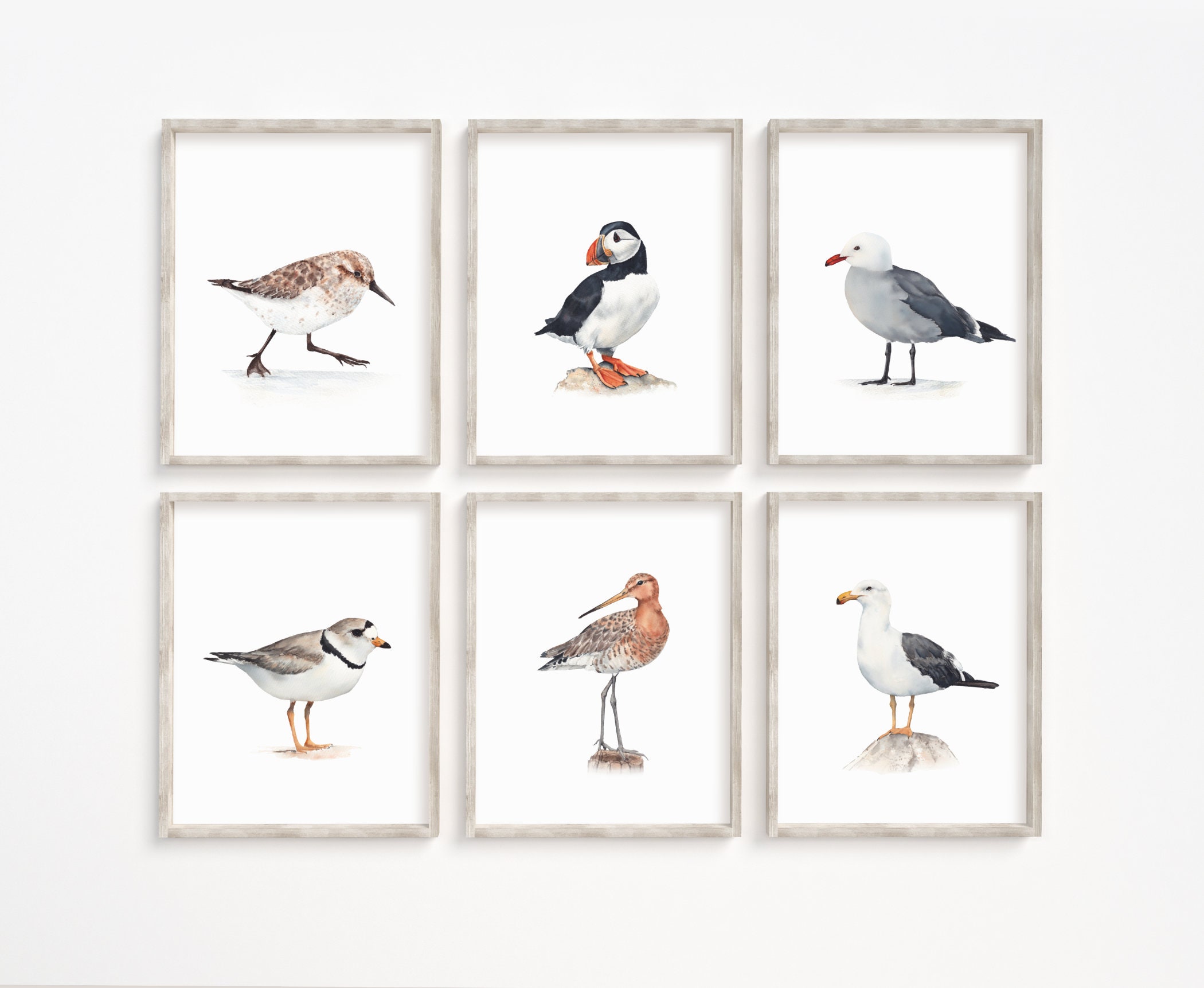 Watercolor Birds Prints Set of 9. Shore Birds Printable Wall Art. Beach ...