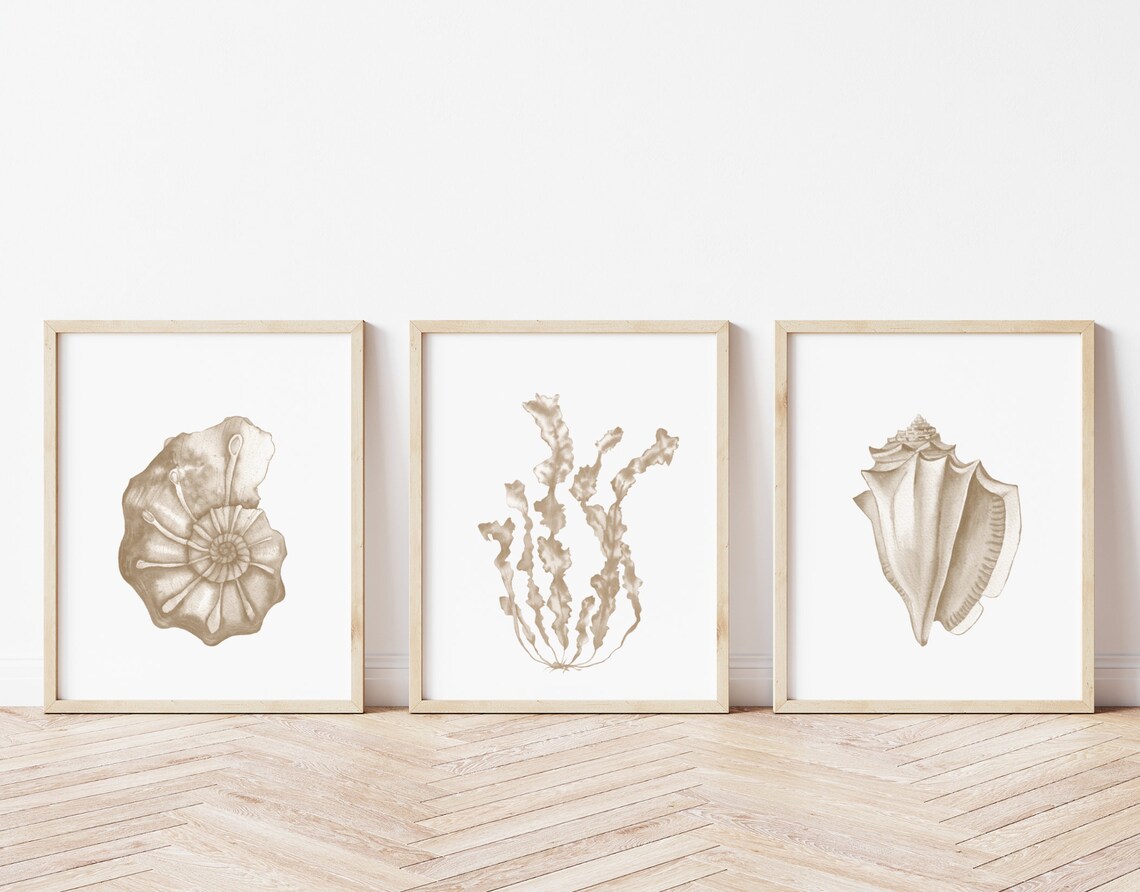 Beige Seashells Corals Prints Set of 6. Coastal Printable Wall - Etsy