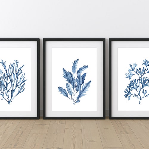 Gray Sea Fan Prints 3 Piece Wall Art Beach House Art Coral - Etsy