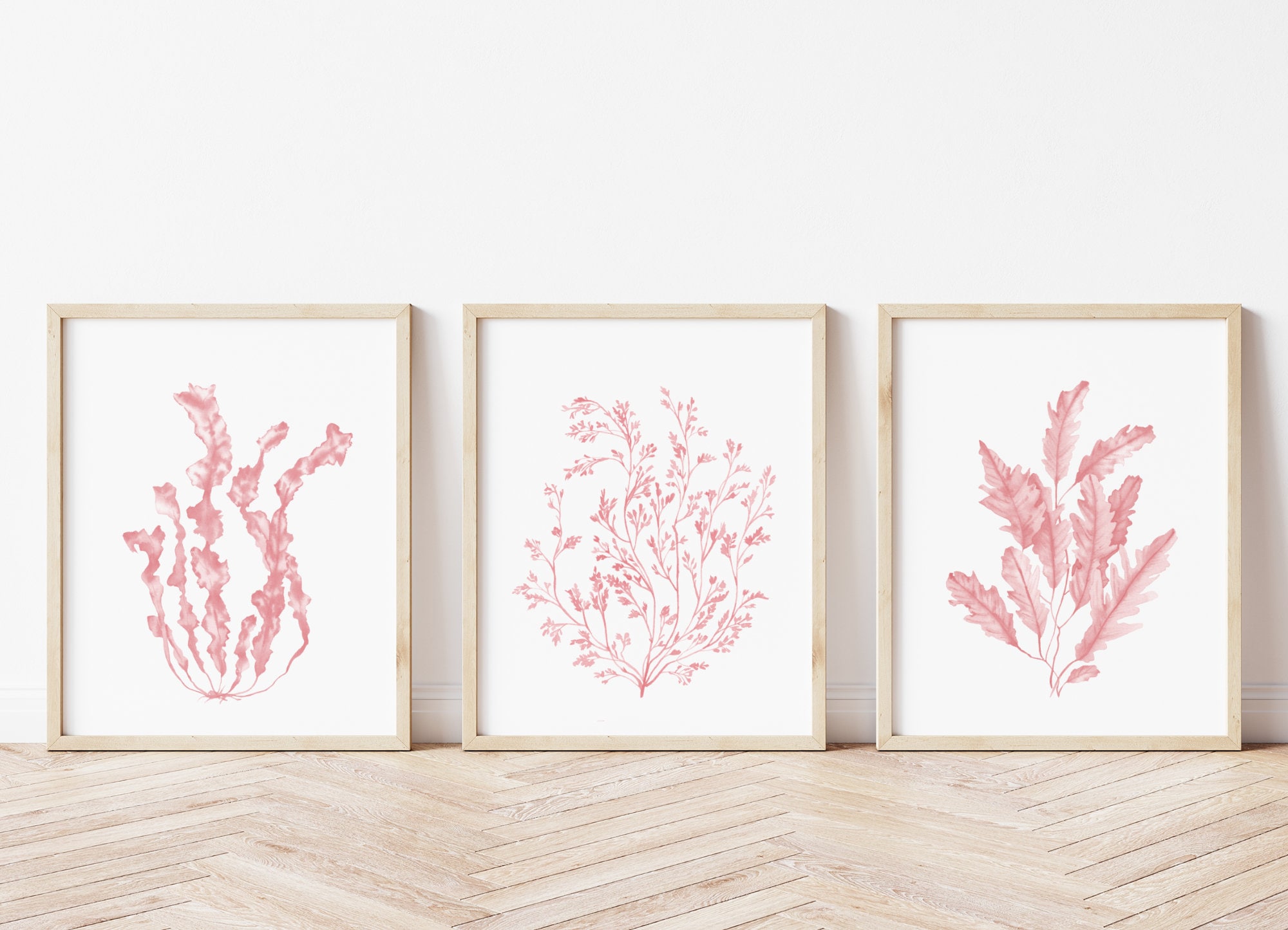 Blush Pink Seaweeds Corals Prints Set of 6. Pastel Coastal - Etsy