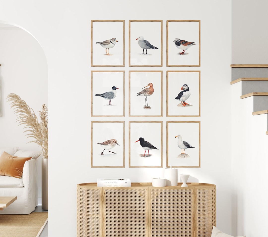 Watercolor Birds Prints Set of 9. Shore Birds Printable Wall Art. Beach ...