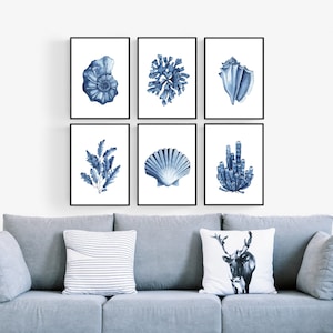 Blue Corals Seashells Prints Set of 6. Indigo Coastal Printable Wall ...