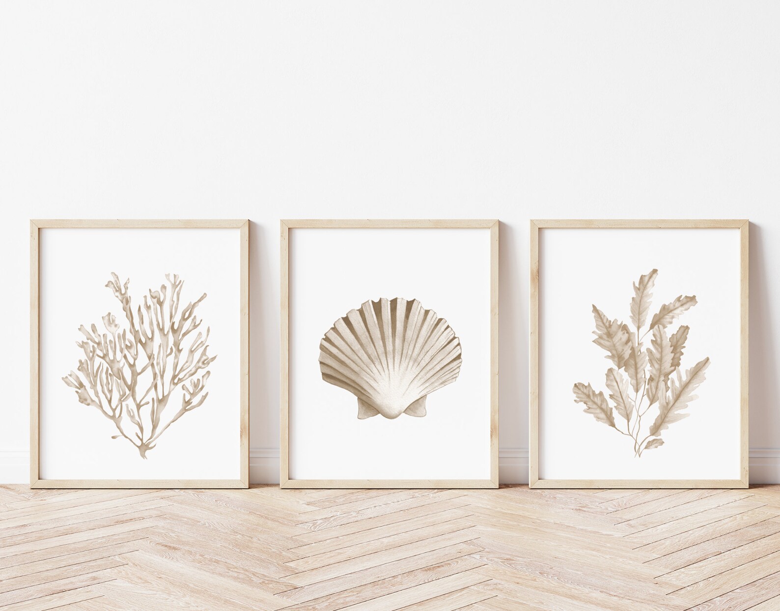 Beige Seashells Corals Prints Set of 6. Coastal Printable Wall - Etsy