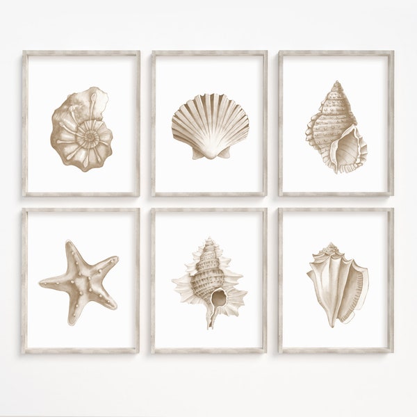 Seashell Watercolor - Etsy