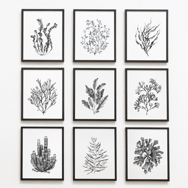 Seaweed Print - Etsy