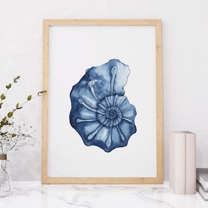 Blue Seashells Prints Set of 4. Coastal Printable Wall Art. Watercolor ...