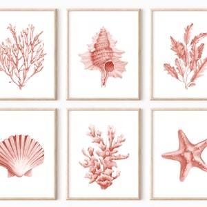 Coral Seashells Prints Set of 6. Coastal Printable Wall Art. Beach ...