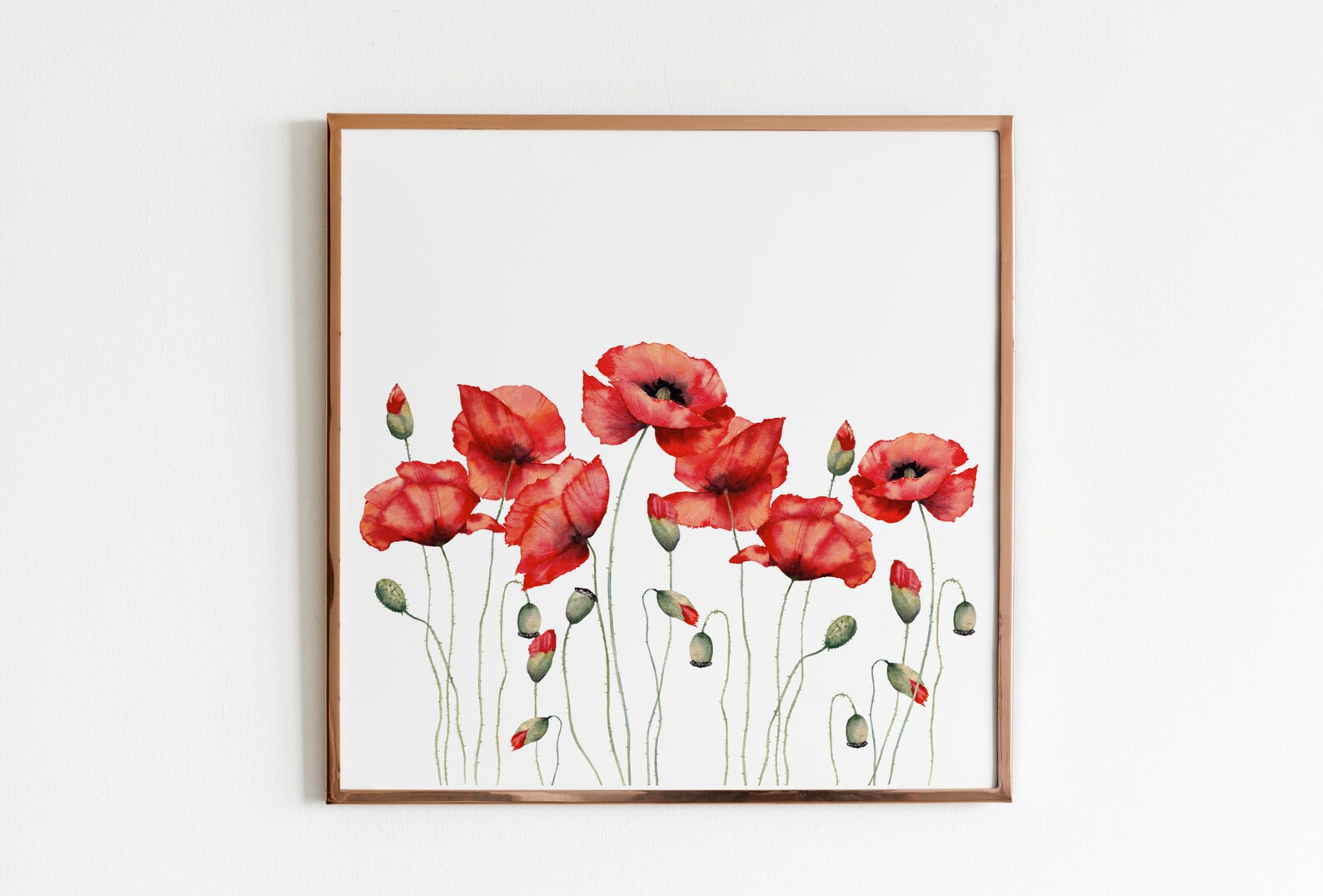 Red Poppies Print. Watercolor Meadow Poppies. Wildflowers - Etsy