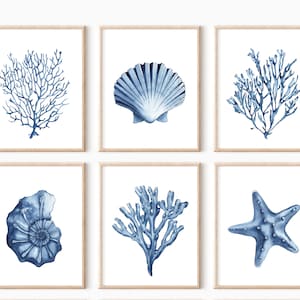 Blue Shell Prints Set of 6. Navy Algae, Starfish Printable Wall Art ...