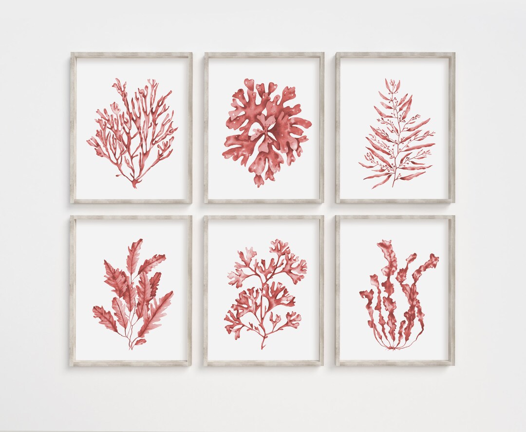 Red Coral Prints Set of 6. Coastal Wall Art. Beach House Art Prints ...