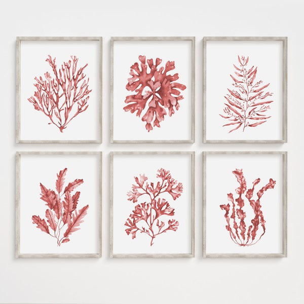Red Coral Print - Etsy