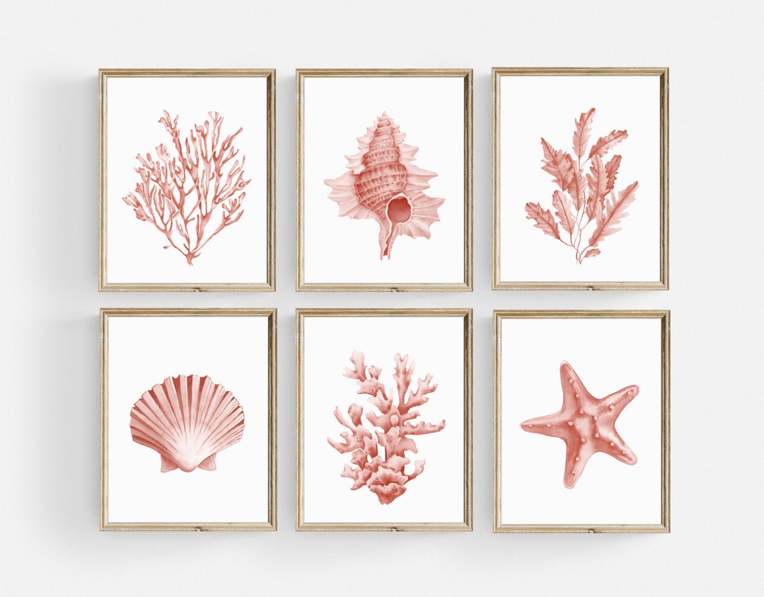 Coral Seashells Prints Set of 6. Coastal Printable Wall Art. - Etsy