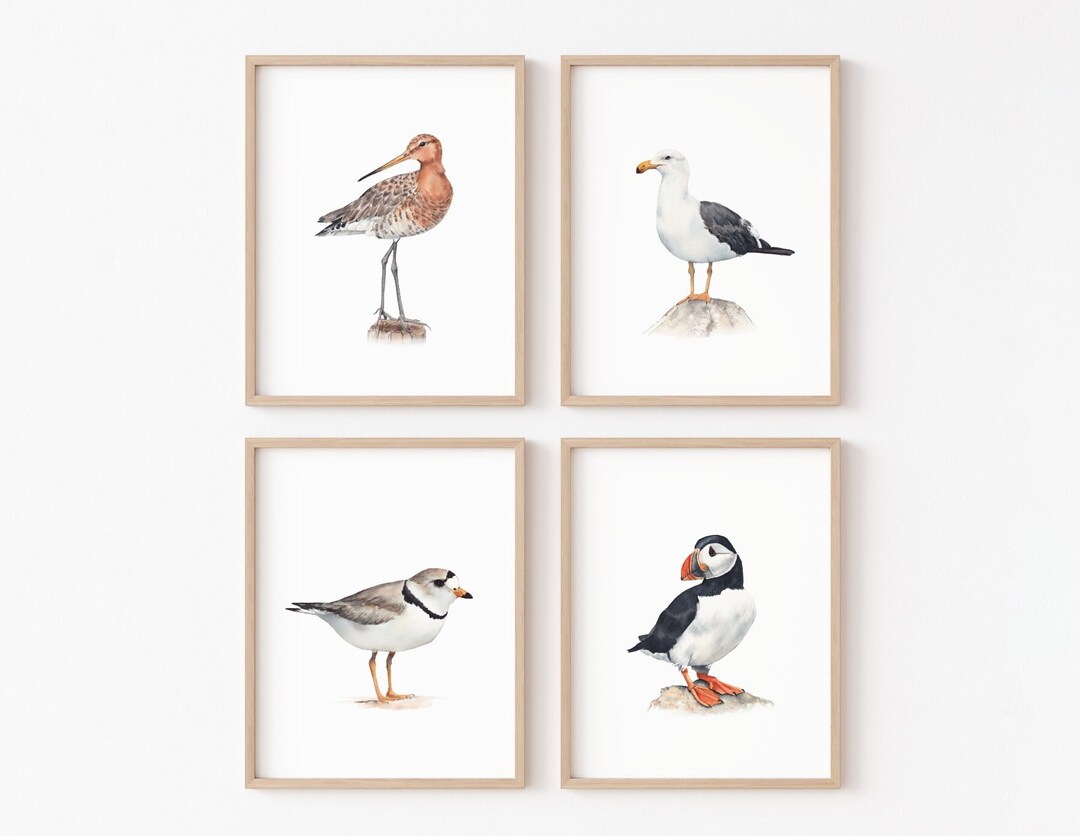 Custom Shorebirds Prints Set of 4. Watercolor Beach Birds Wall Art. Sea ...