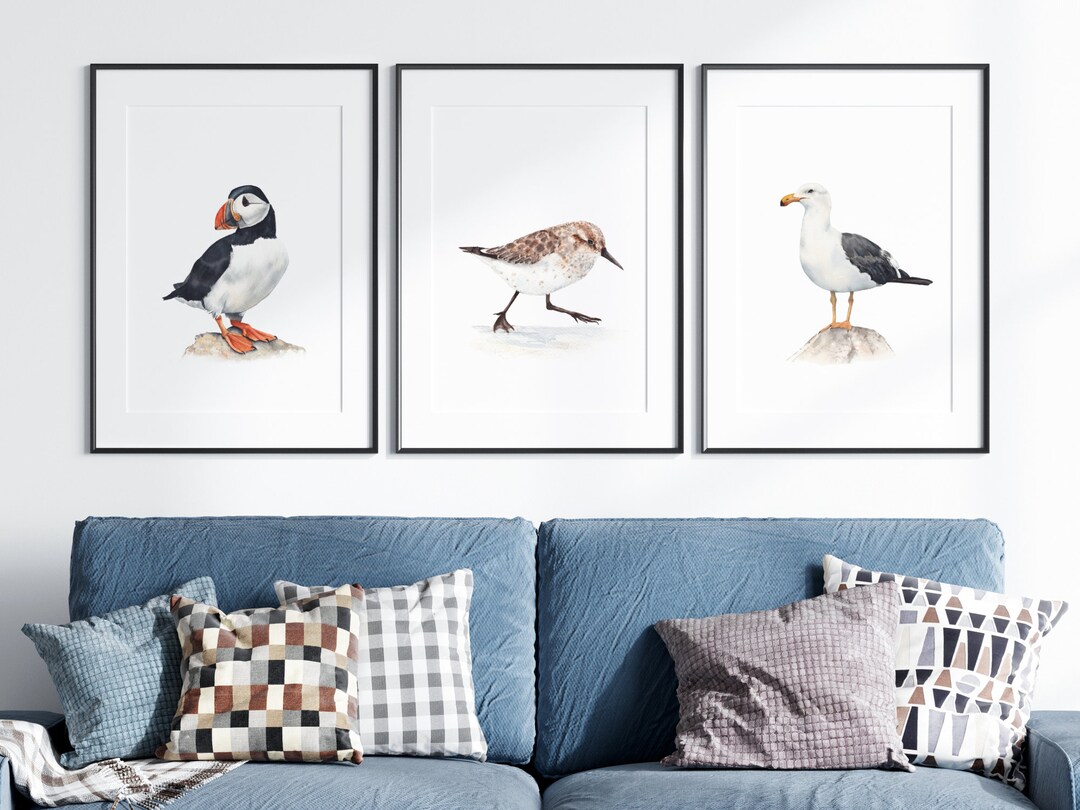 Beach Birds Prints Set of 3. Watercolor Birds Digital Prints. Seagull ...