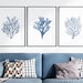 Blue Shell Prints Set of 6. Navy Algae, Starfish Printable Wall Art ...