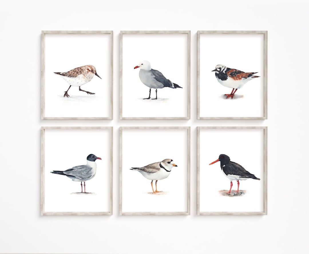 Birds Prints Set of 6. Watercolor Shore Birds Printable Wall - Etsy