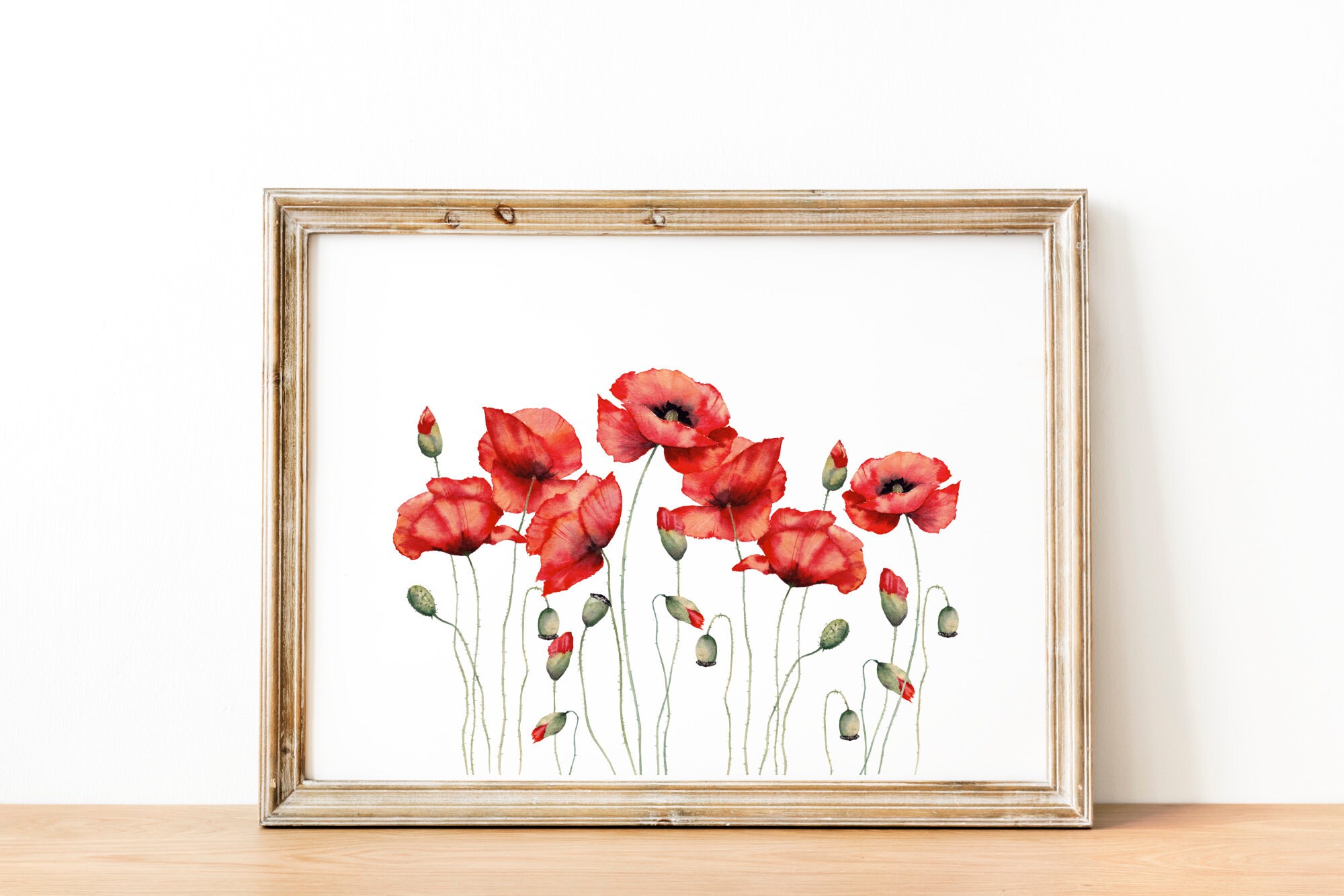 Red Poppies Print. Watercolor Meadow Poppies. Wildflowers - Etsy