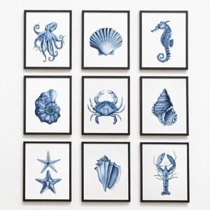 Sea Life Prints Set of 9. Navy Blue Coastal Printable Wall Art ...