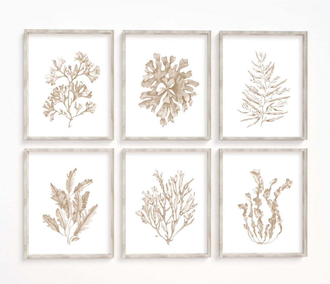 Set of 6 Beige Coastal Prints. Neutral Seaweed Coral Watercolor Wall ...