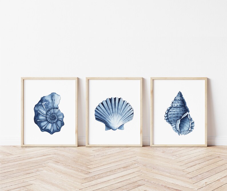 Watercolor Blue Seashells Prints Set of 6. Scallop, Conch Shell ...