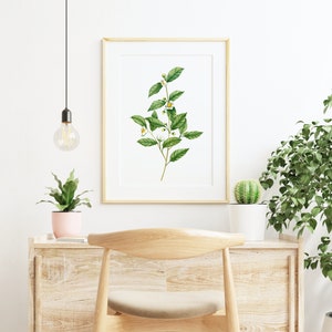 Watercolor Tea Plant Botanical Print. Instant Download Tea - Etsy