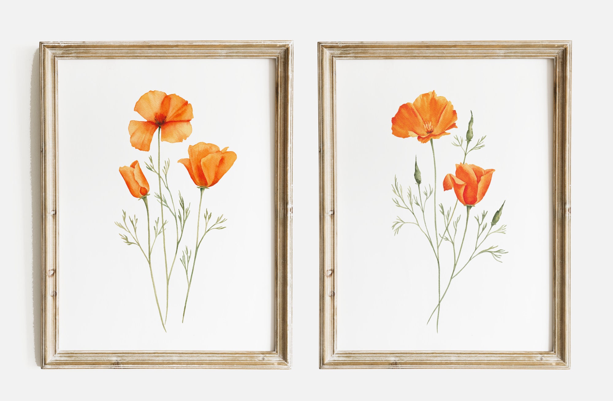 California Poppies Wall Art. Set of 2 Digital Prints. - Etsy