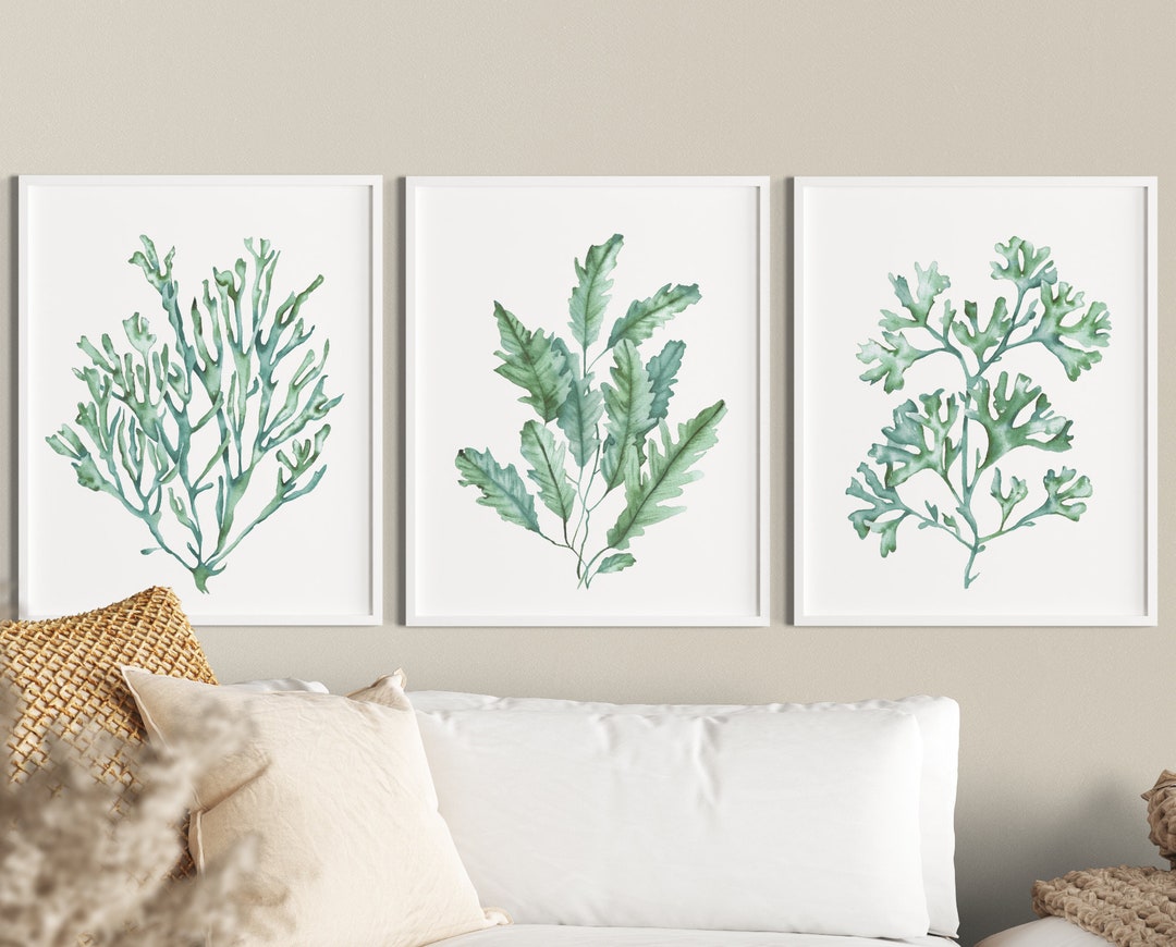 Seaweeds Algae Prints Set of 3. Green Coastal Wall Art. Watercolor ...