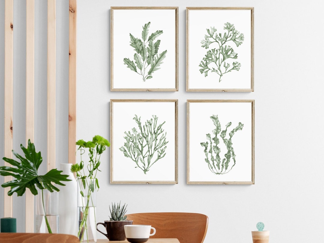 Sage Green Coastal Print Set of 4. Seaweeds Prints. Ocean Wall Art ...