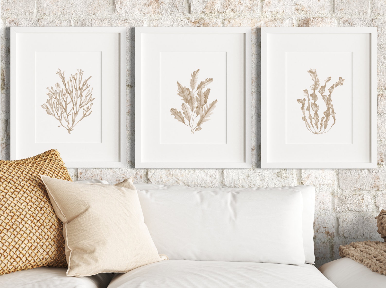 Beige Seashells Corals Prints Set of 6. Coastal Printable Wall - Etsy