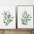 Neutral Shell Seaweeds Prints Set of 3. Blue Algae Printable Wall Art ...