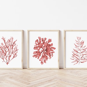 Red Coral Prints Set of 6. Coastal Wall Art. Beach House Art Prints ...