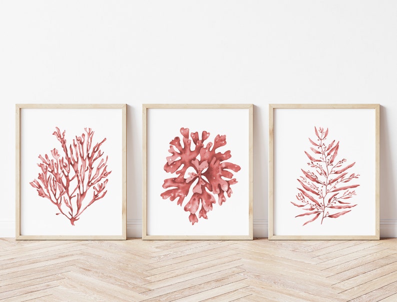 Red Coral Prints Set of 6. Coastal Wall Art. Beach House Art Prints ...